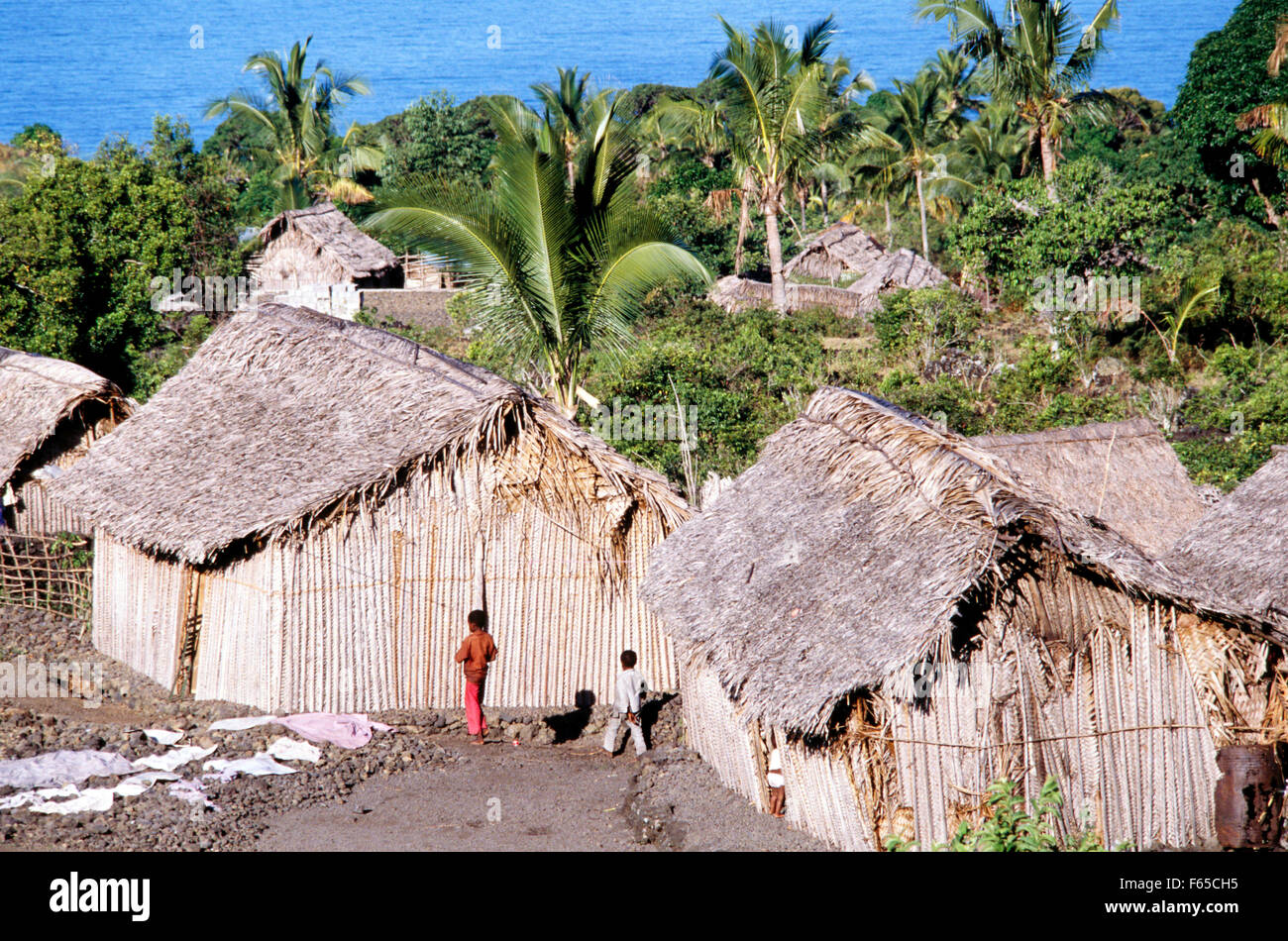 Fishermen's houses made of palm leaves and wood on Grande Comore island ...