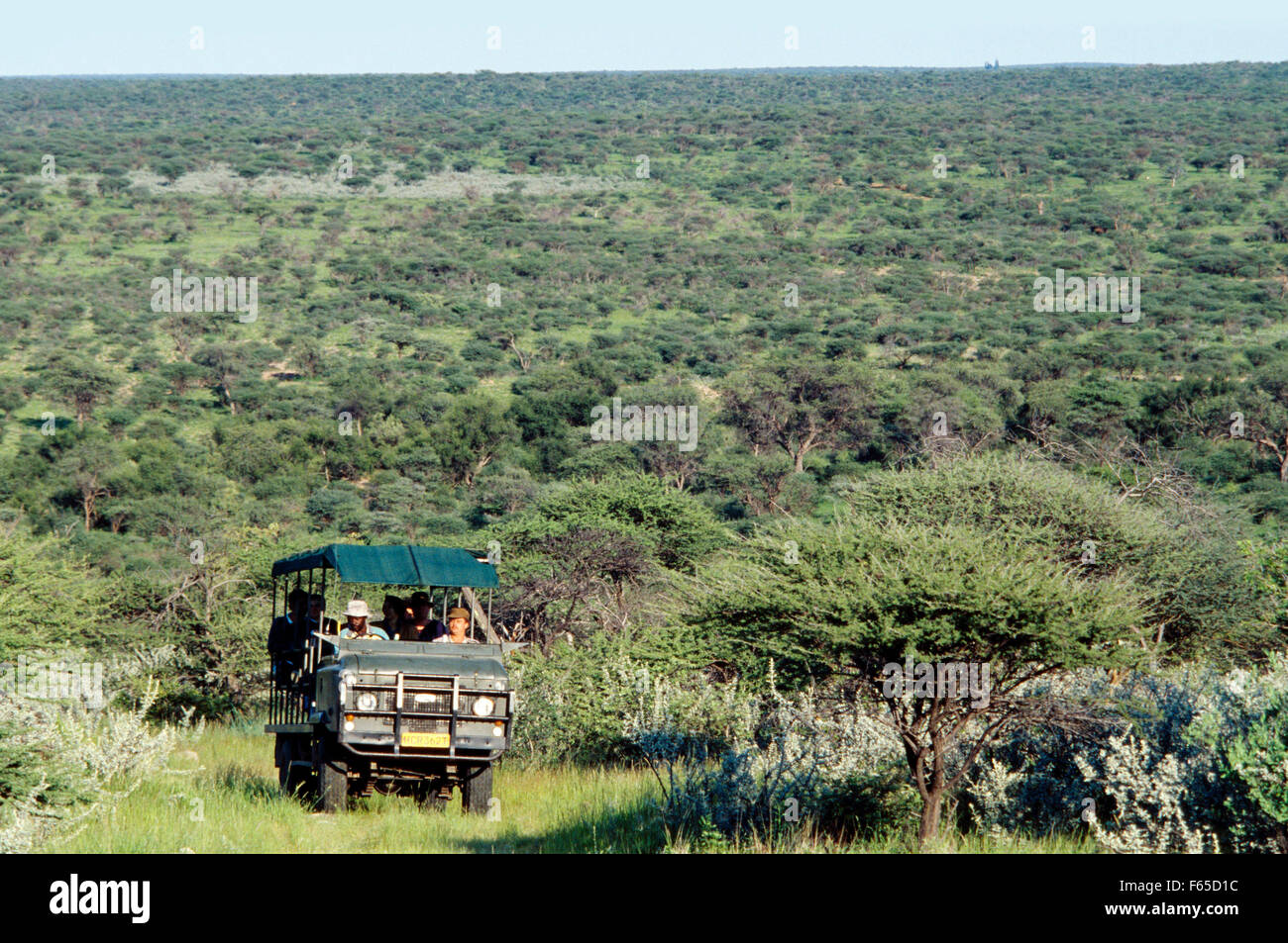Car being droven through savannah and horizon, Namibia Stock Photo - Alamy