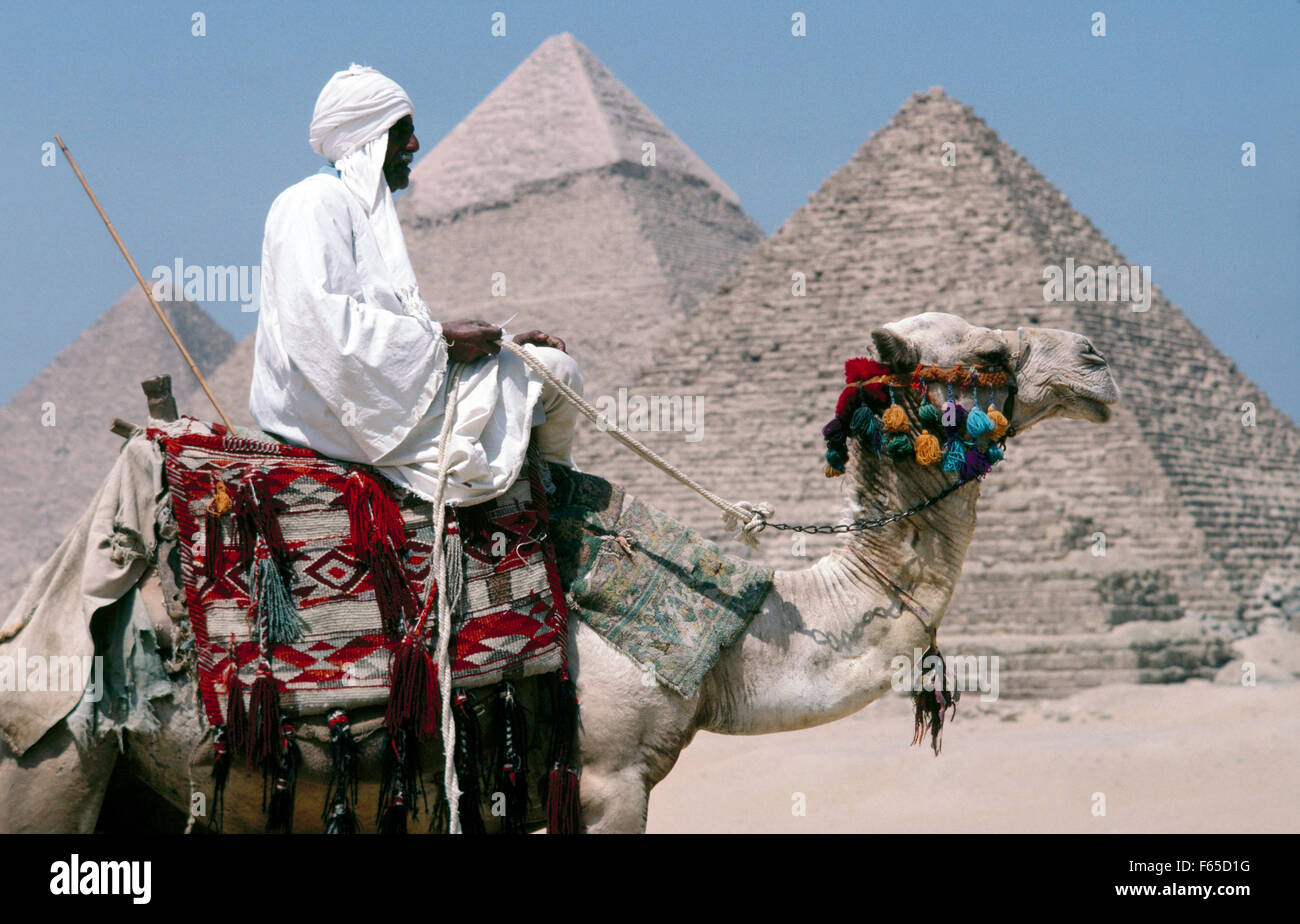 Egyptian riding a camel near the pyramids of Giza, Egypt Stock Photo ...