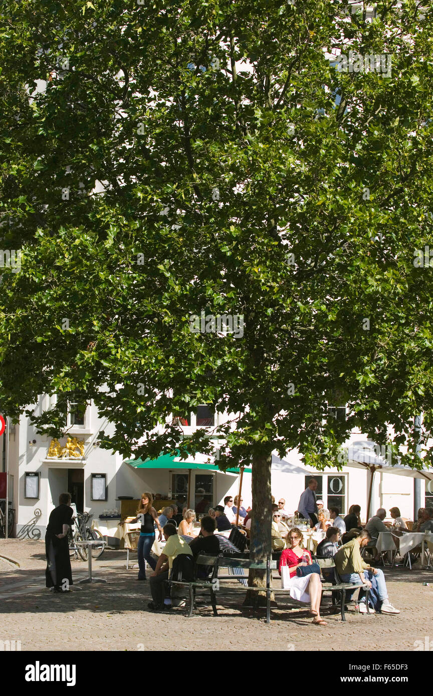 People sitting on bench under tree at Grabrodretorv Square in ...