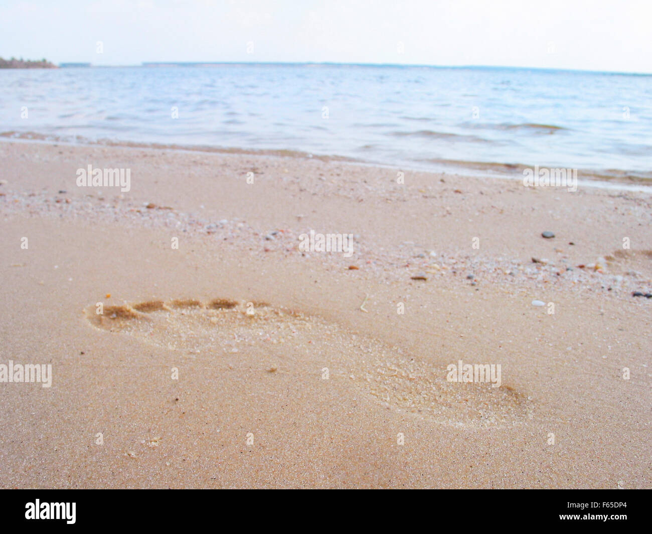 Close-up of footprint in sand at Baltic beach, Stralsund, Germany Stock ...