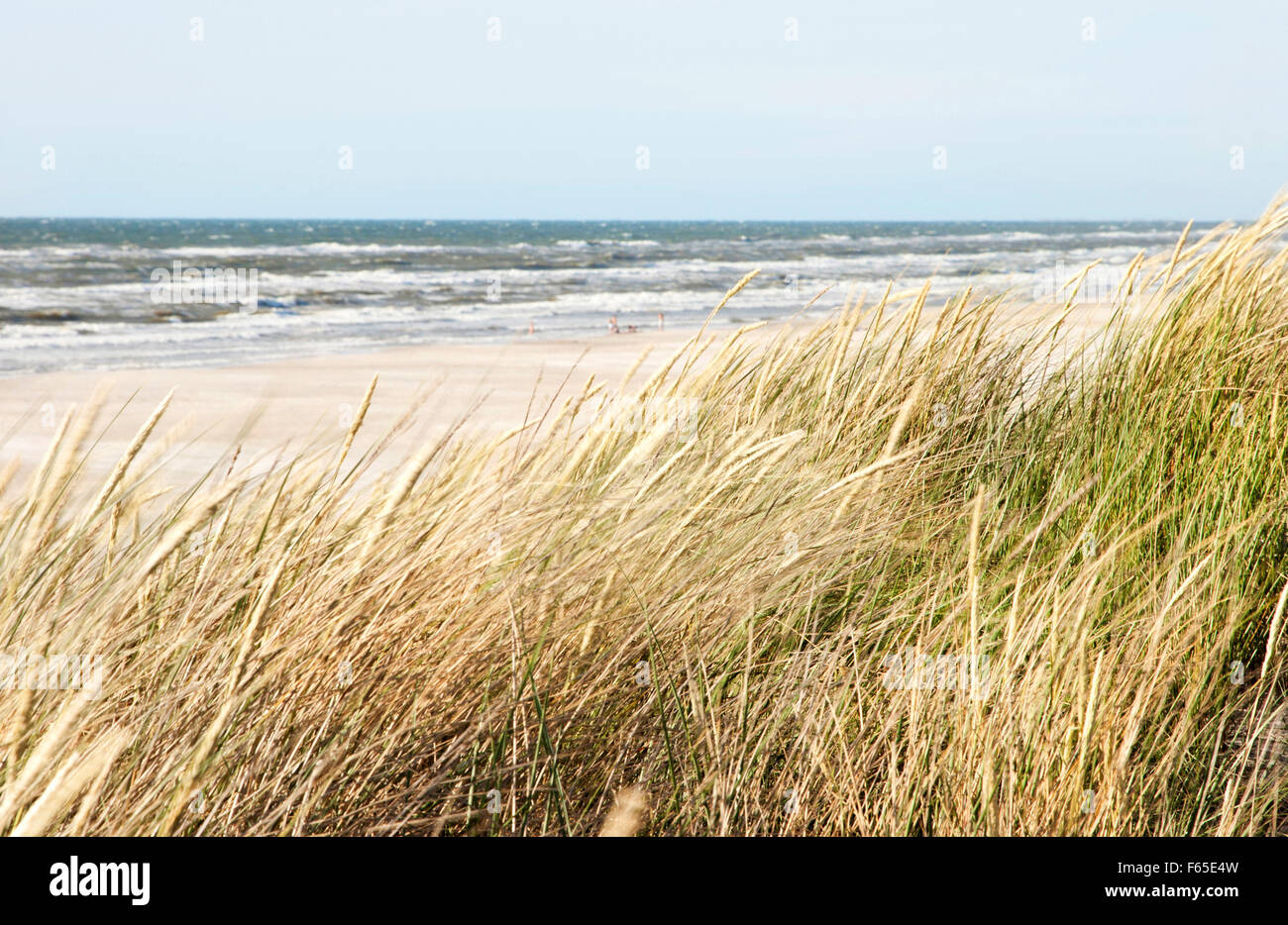 View of sky, beach, sea and dunes at Fano beach, Denmark Stock Photo ...