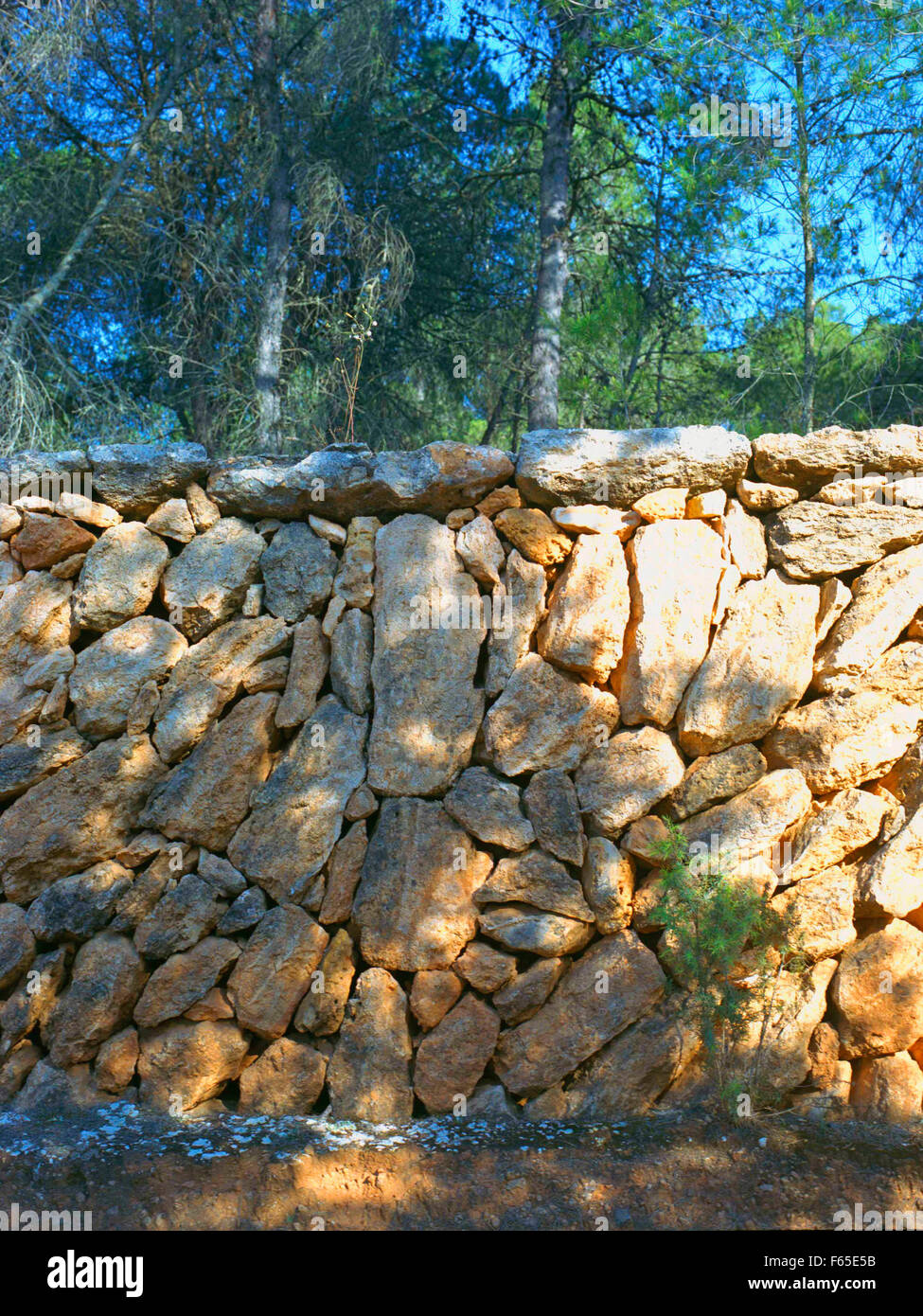 Field wall on Ibiza island, Spain Stock Photo - Alamy