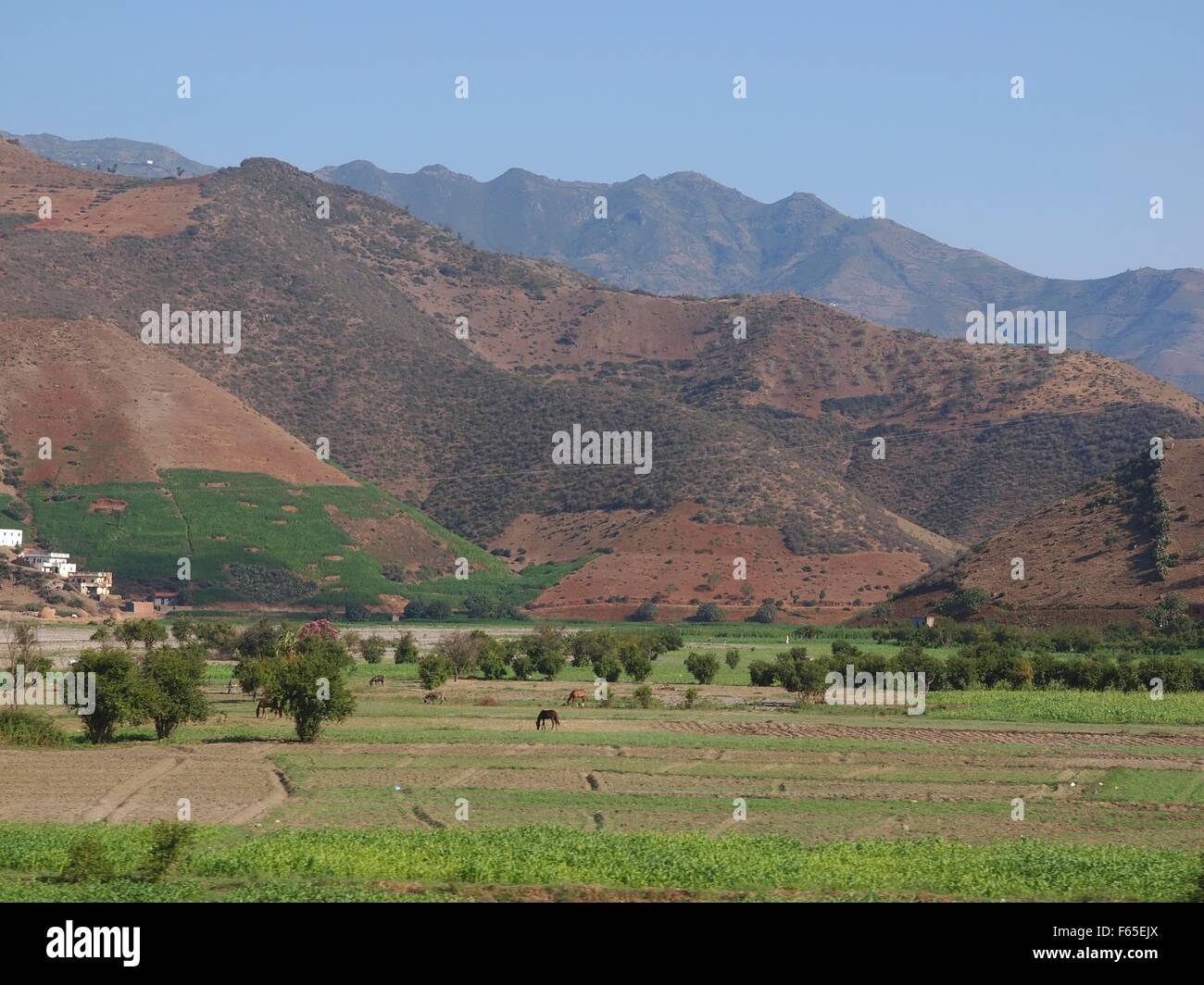 Al hoceima hi-res stock photography and images - Alamy