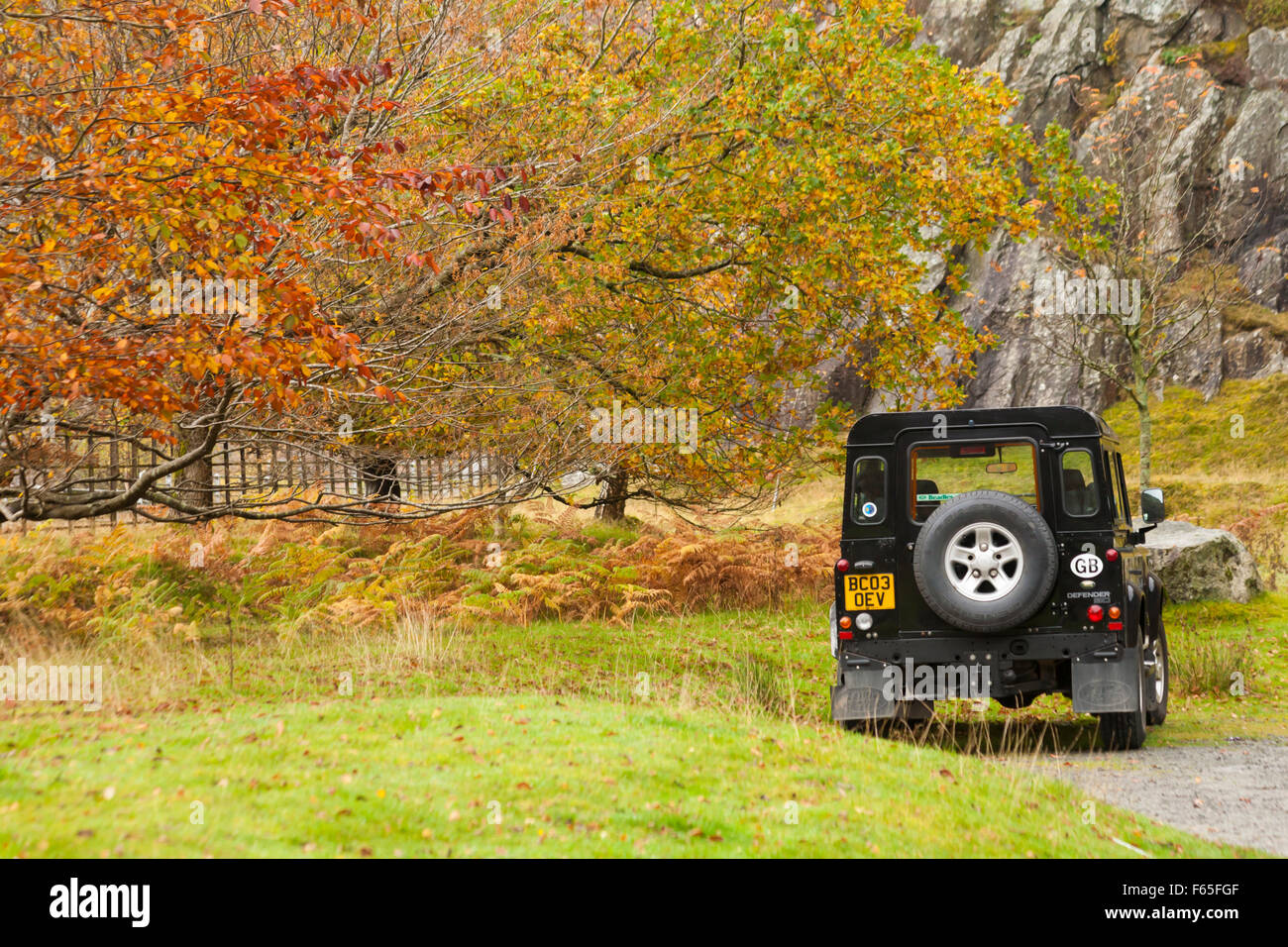 Land Rover Defender parked by Autumnal trees in car park at Caban Coch ...