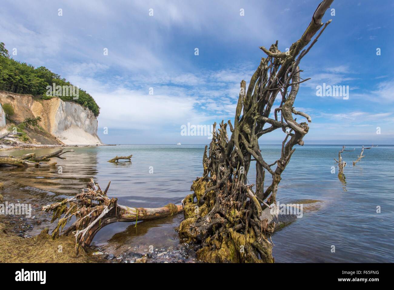 A view of the chalk cliffs at the Jasmund National Park on Rügen Stock ...