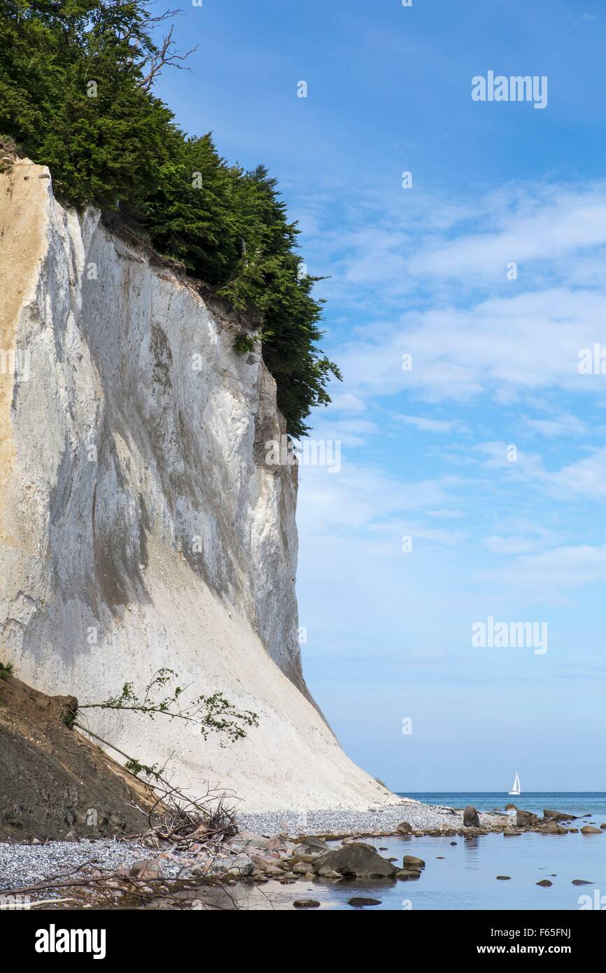 A view of the chalk cliffs at the Jasmund National Park on Rügen Stock ...