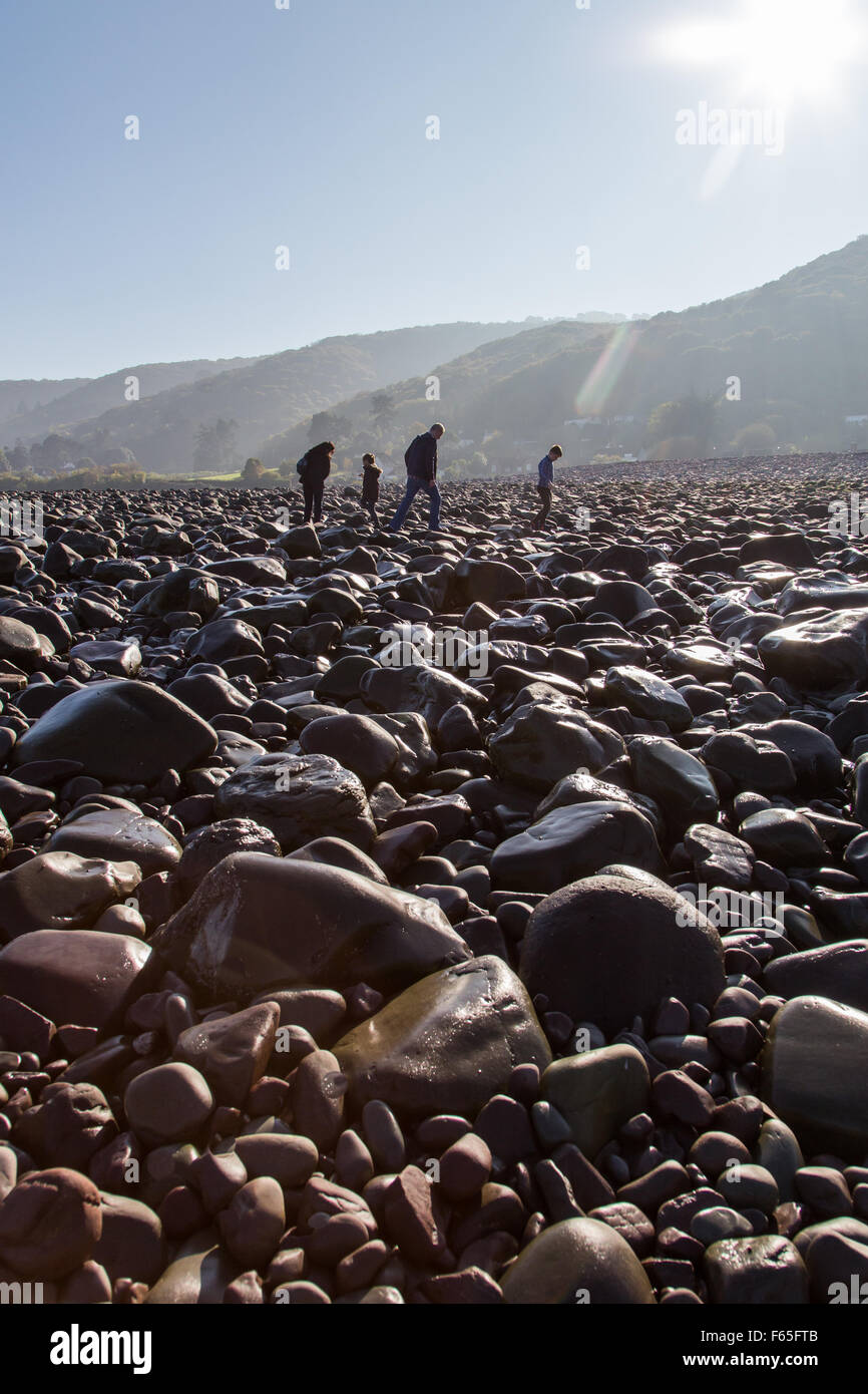 Fossil on beach somerset hi-res stock photography and images - Alamy