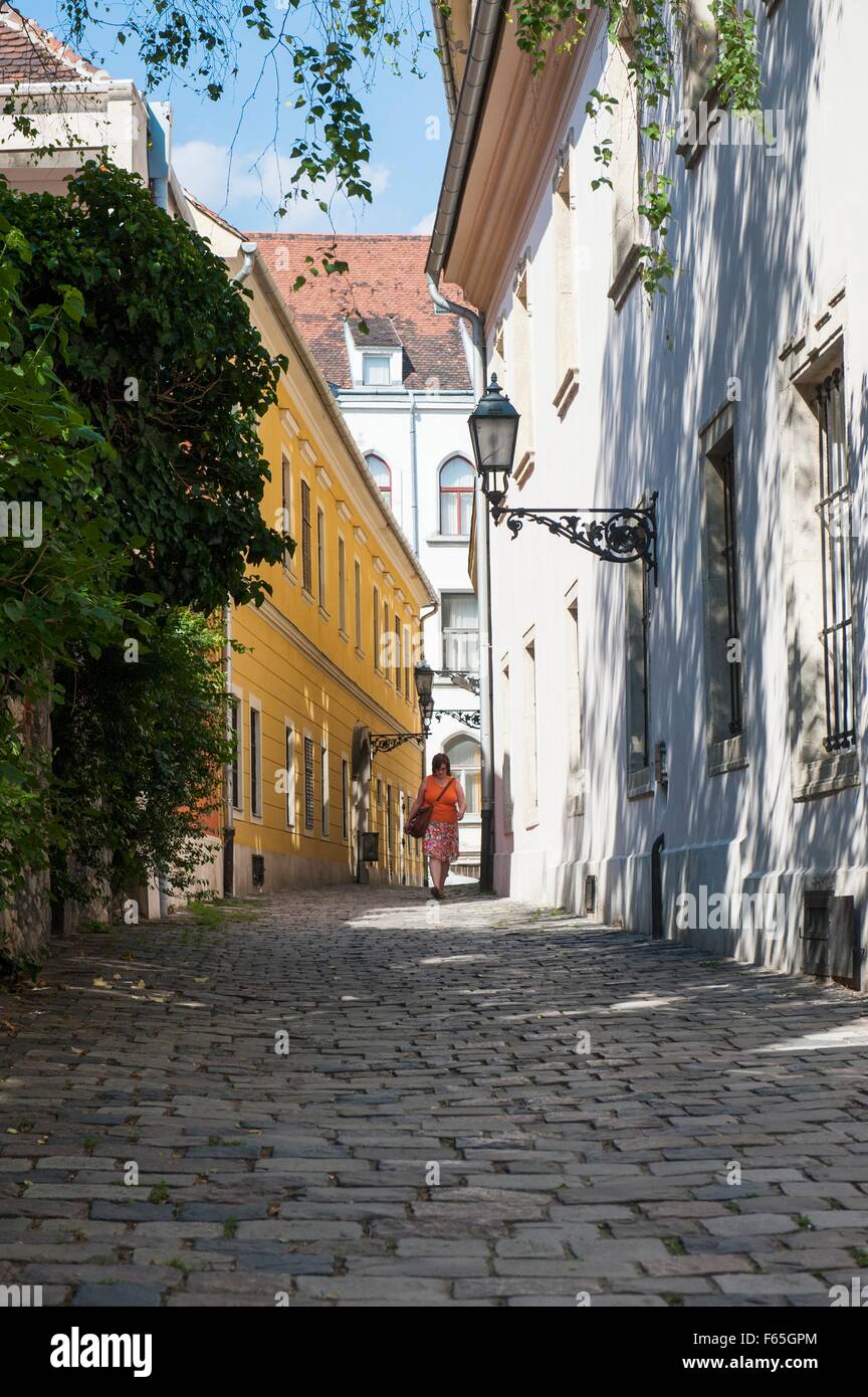 Cobbled alleyway hi-res stock photography and images - Alamy