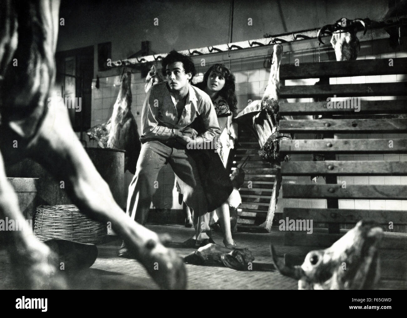 Silvana mangano riso amaro hi-res stock photography and images - Alamy