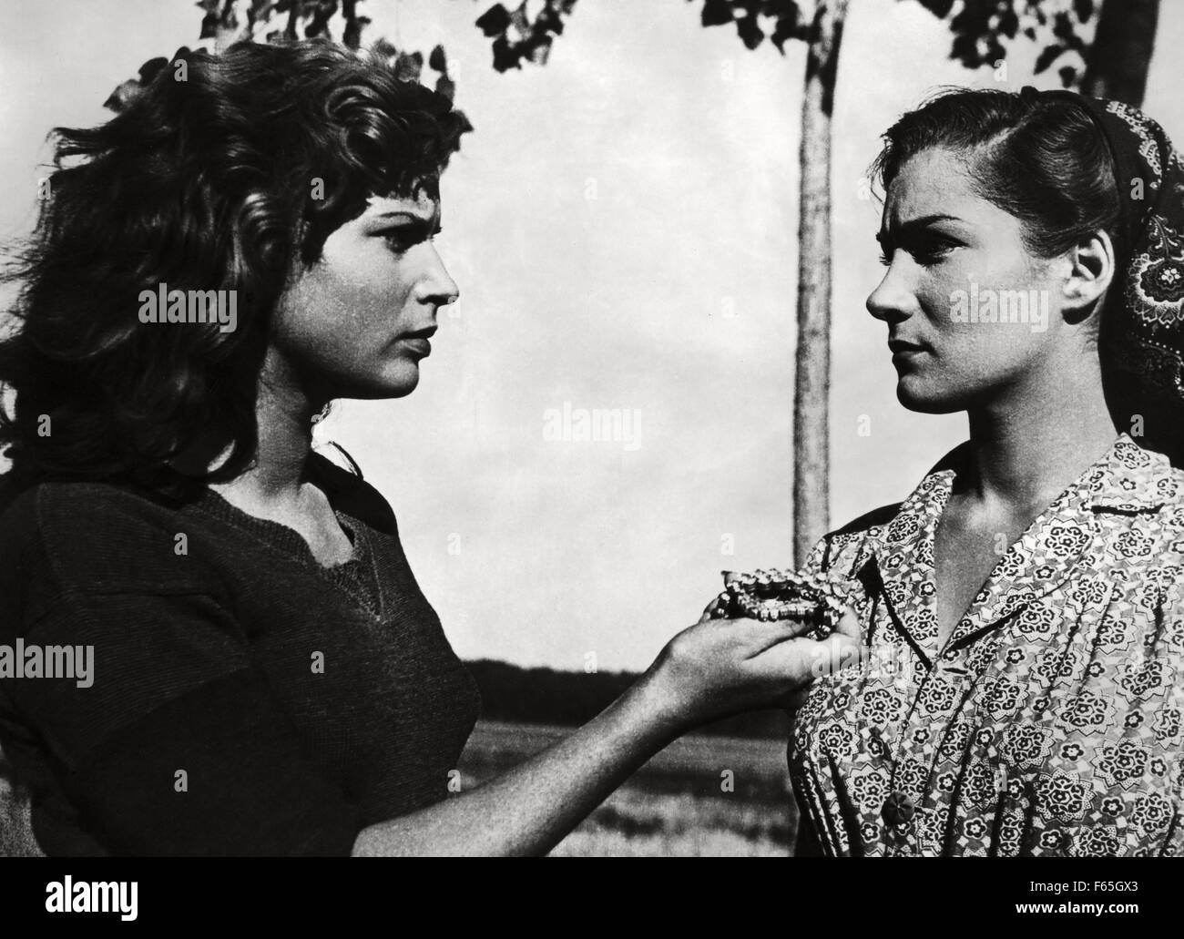 Riso amaro Bitter Rice Year : 1949 Italy Director : Giuseppe De Santis ...