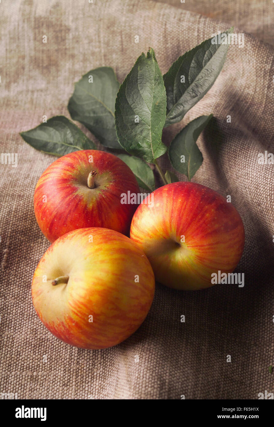 two-colored ida red apples Stock Photo - Alamy