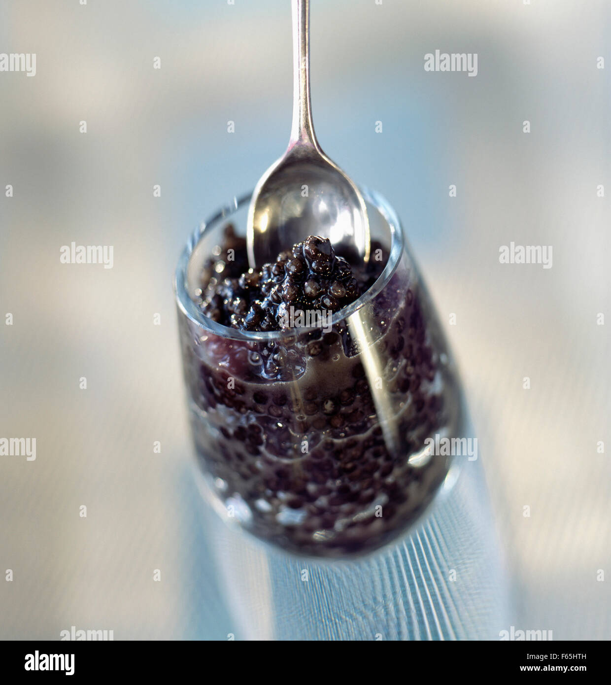 Sevruga fish hi-res stock photography and images - Alamy