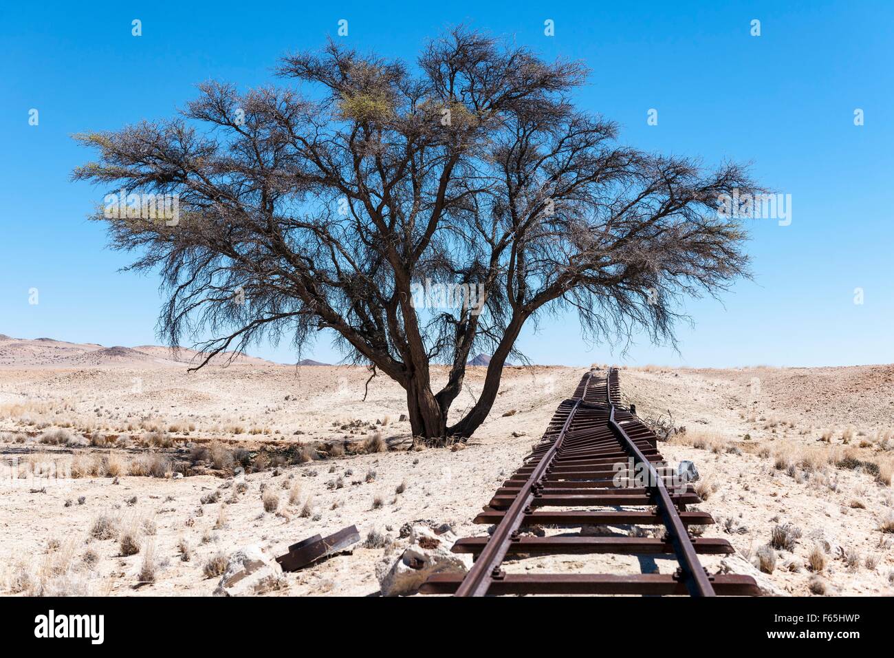 Old train tracks near Garub, Namibia – a former important watering ...