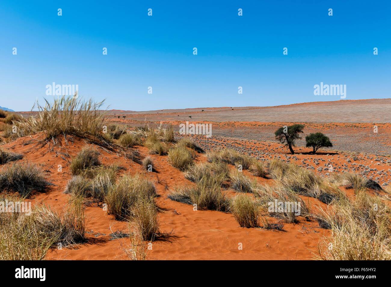 A desolate desert landscape in the NamibRand Nature Reserve, Namibia ...