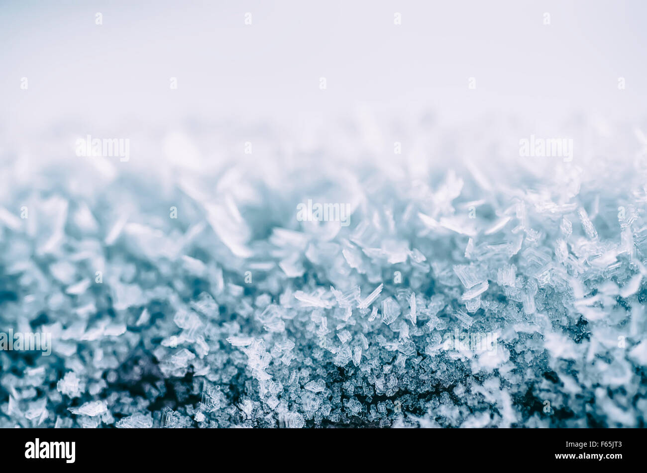 Winter iced background Stock Photo - Alamy
