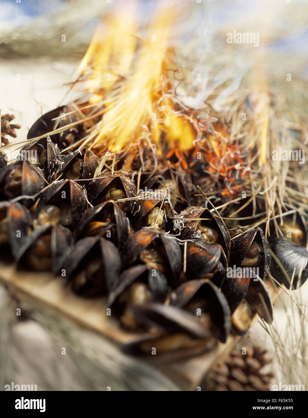 Flame mussel hi-res stock photography and images - Alamy