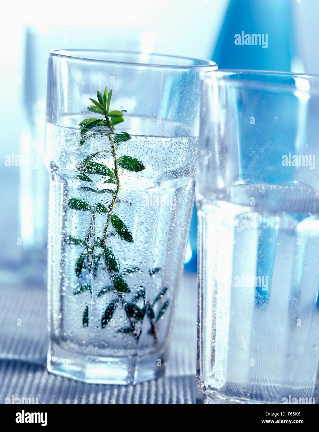 Glass of sparkling water with sprig Stock Photo - Alamy