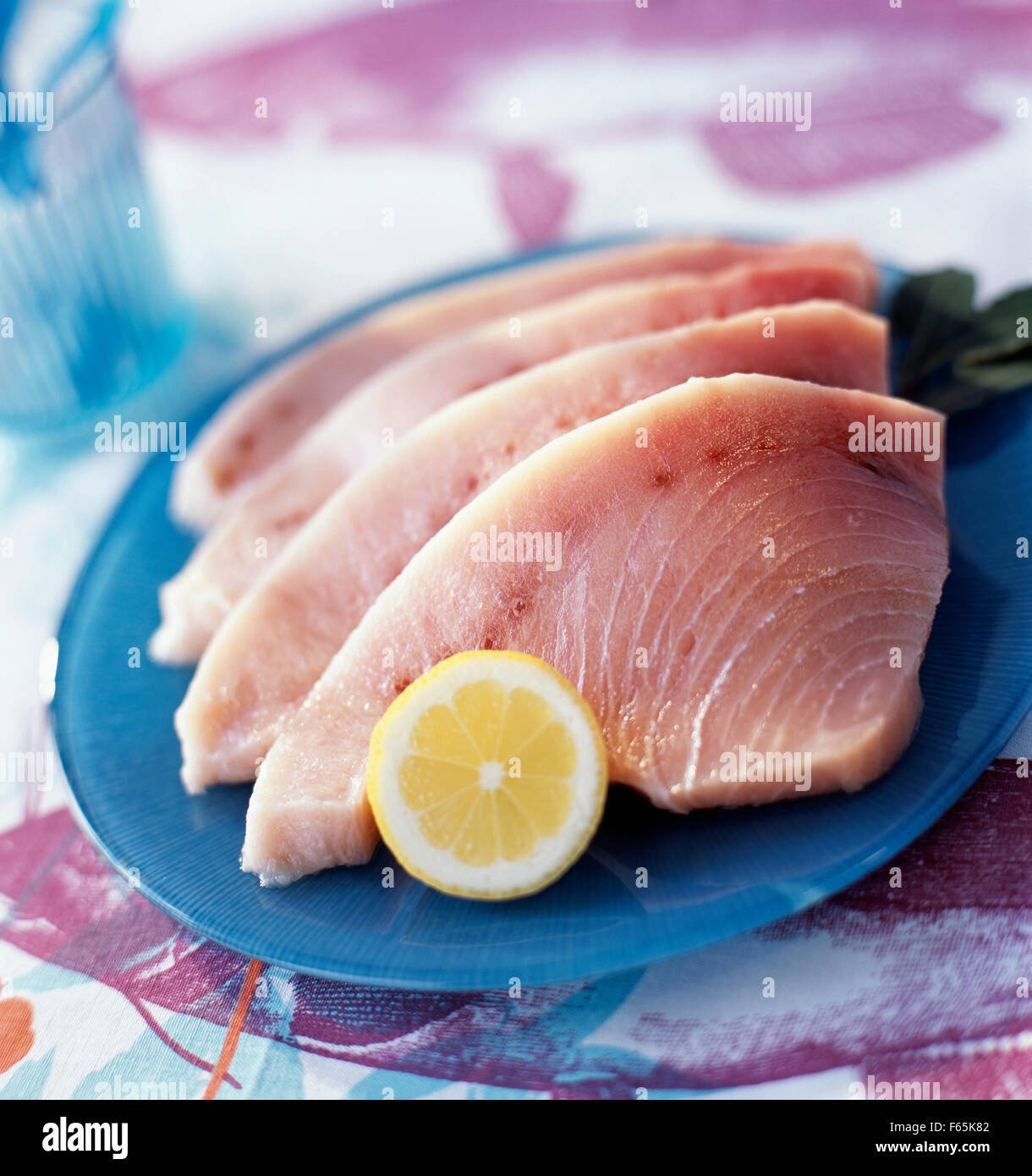 (lamellae or lamella) and fish hi-res stock photography and images - Alamy