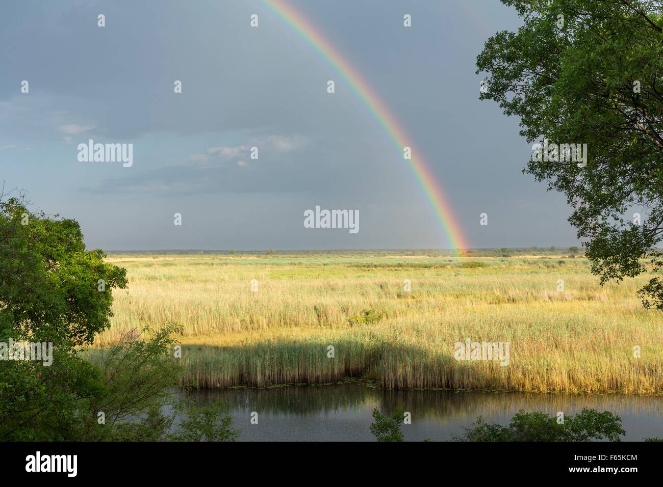 A rainbow over the flood plain of the flood plain of the Kwando River ...