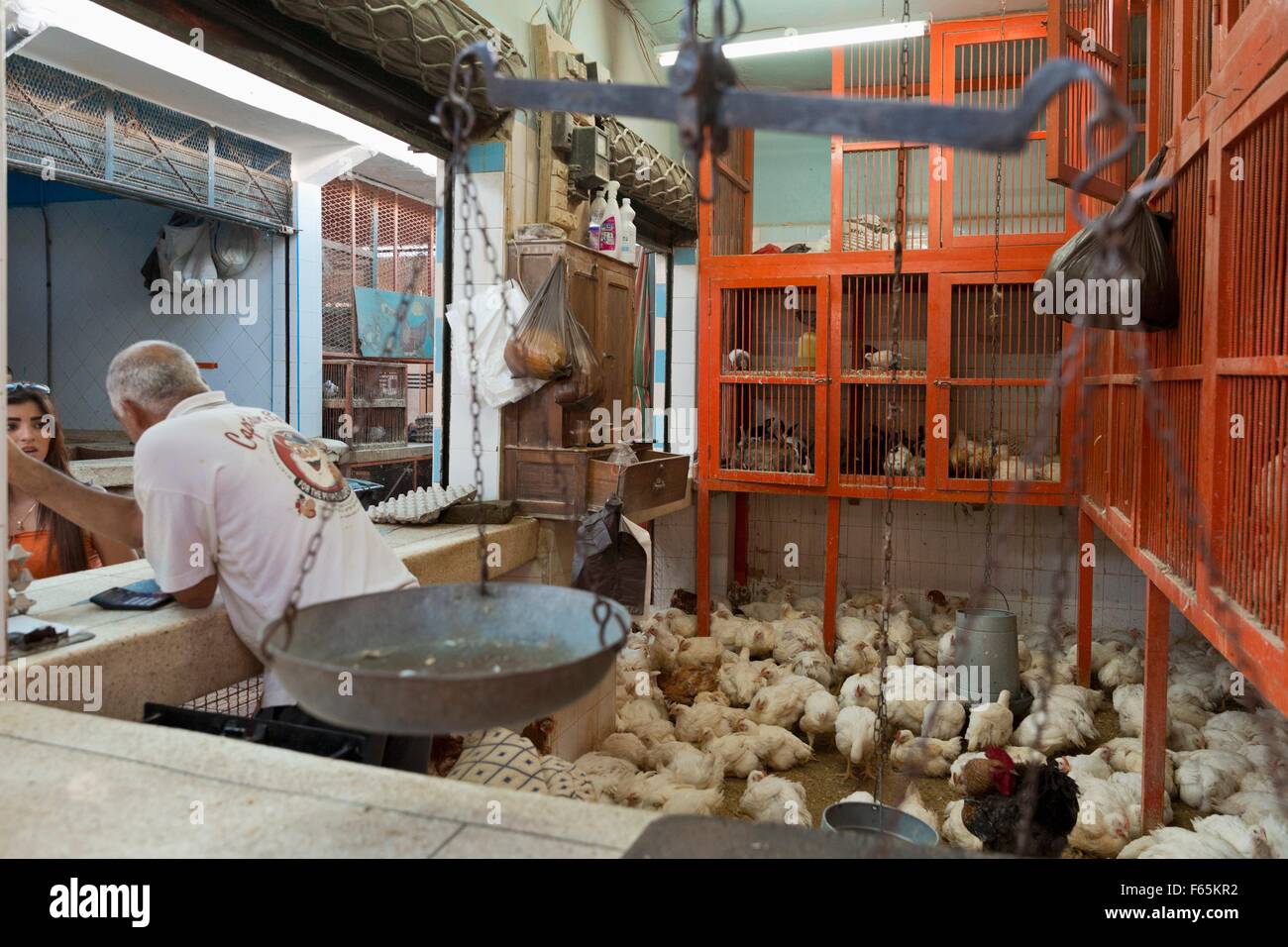 Abattoir chicken hi-res stock photography and images - Alamy
