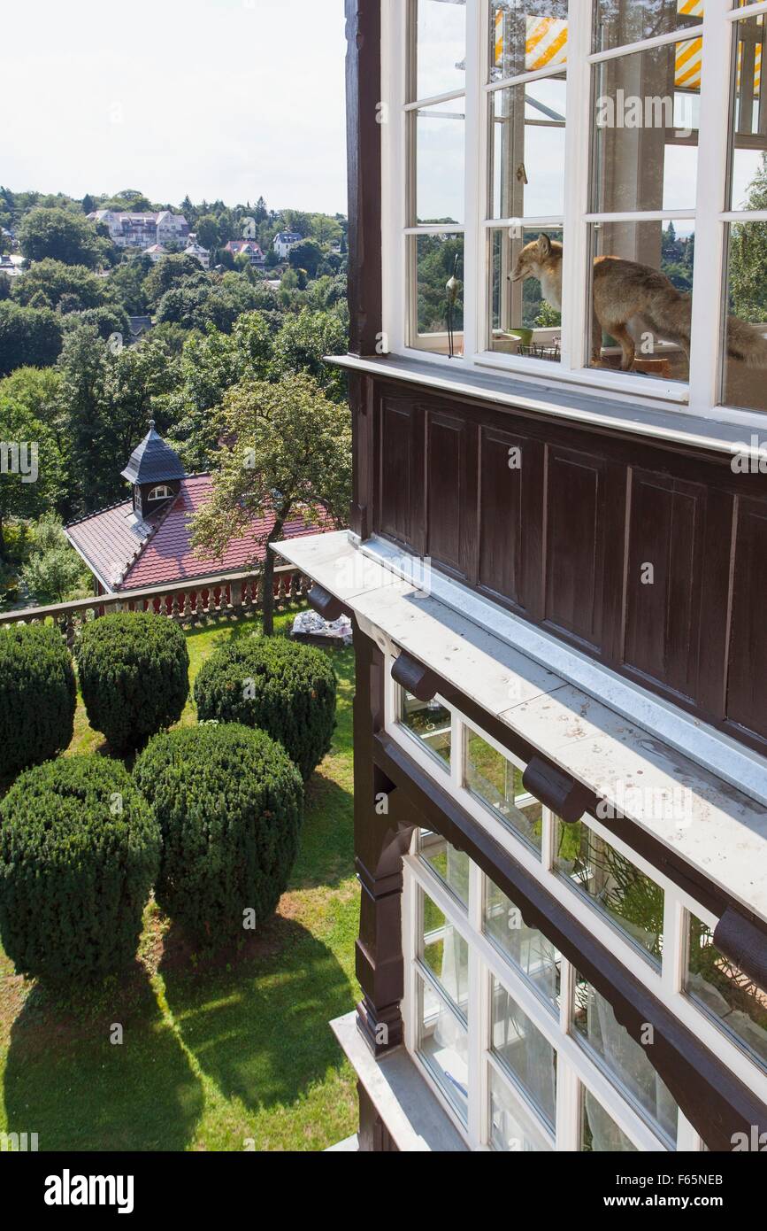 The three-storey villa 'Fuchsbau' in Dresden - served as the ...