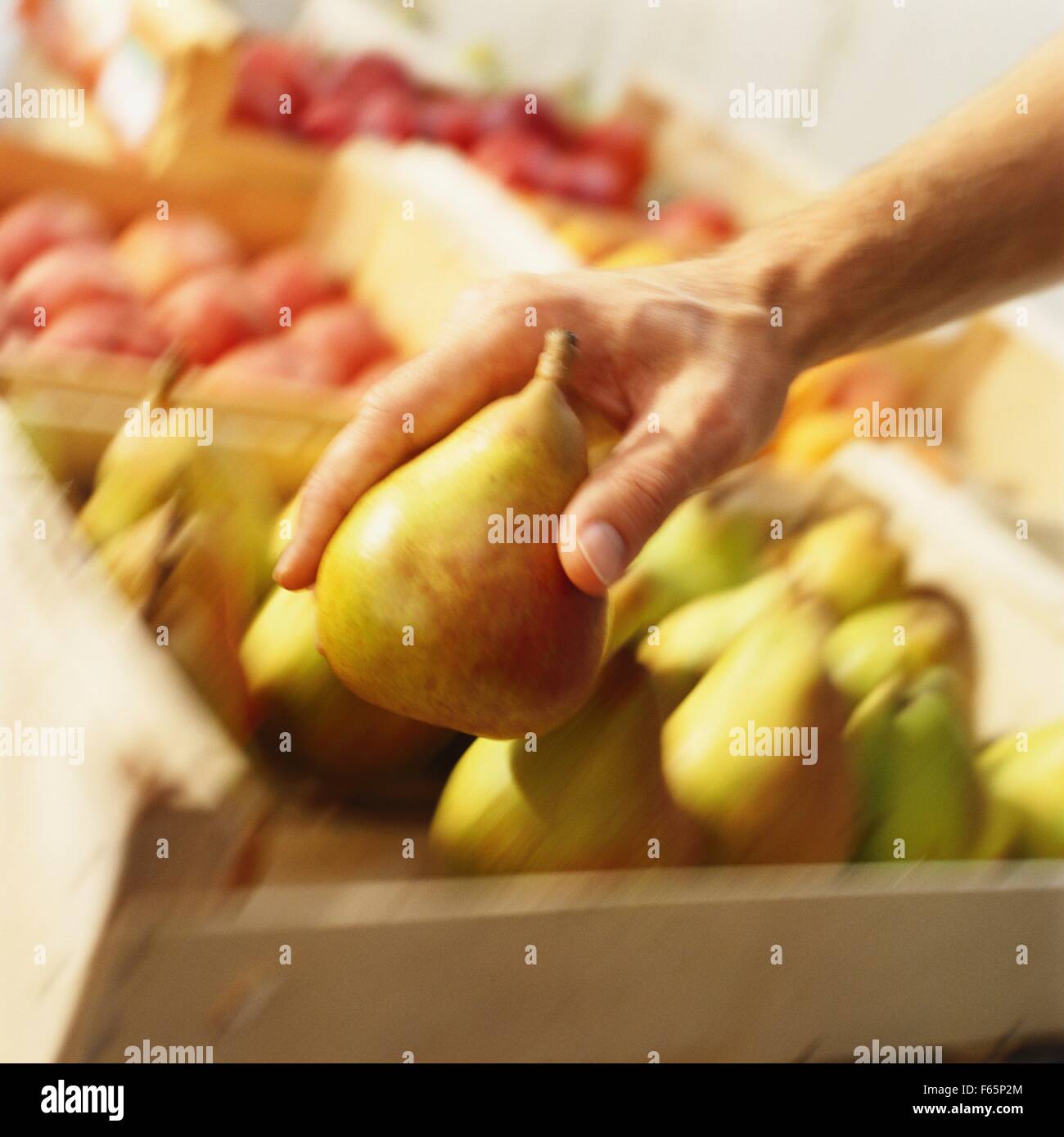 hand holding pear Stock Photo - Alamy