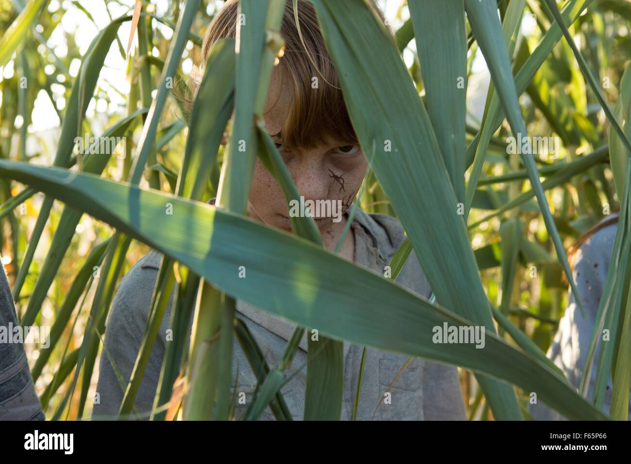 Jaden klein hi-res stock photography and images - Alamy