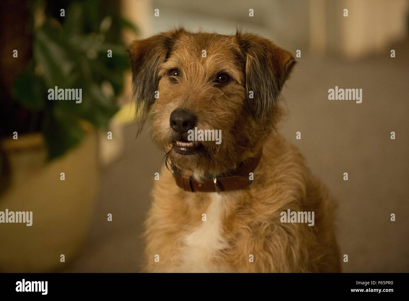 Absolutely hi-res stock photography and images - Alamy