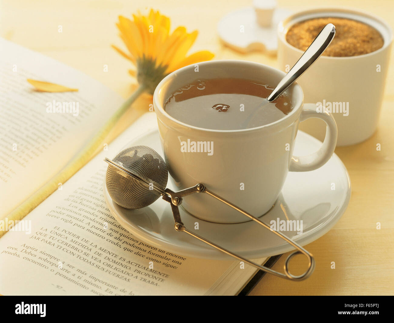 Herbal tea sampling hi-res stock photography and images - Alamy