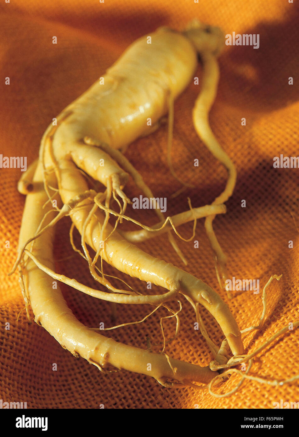 Yellowish root hi-res stock photography and images - Alamy