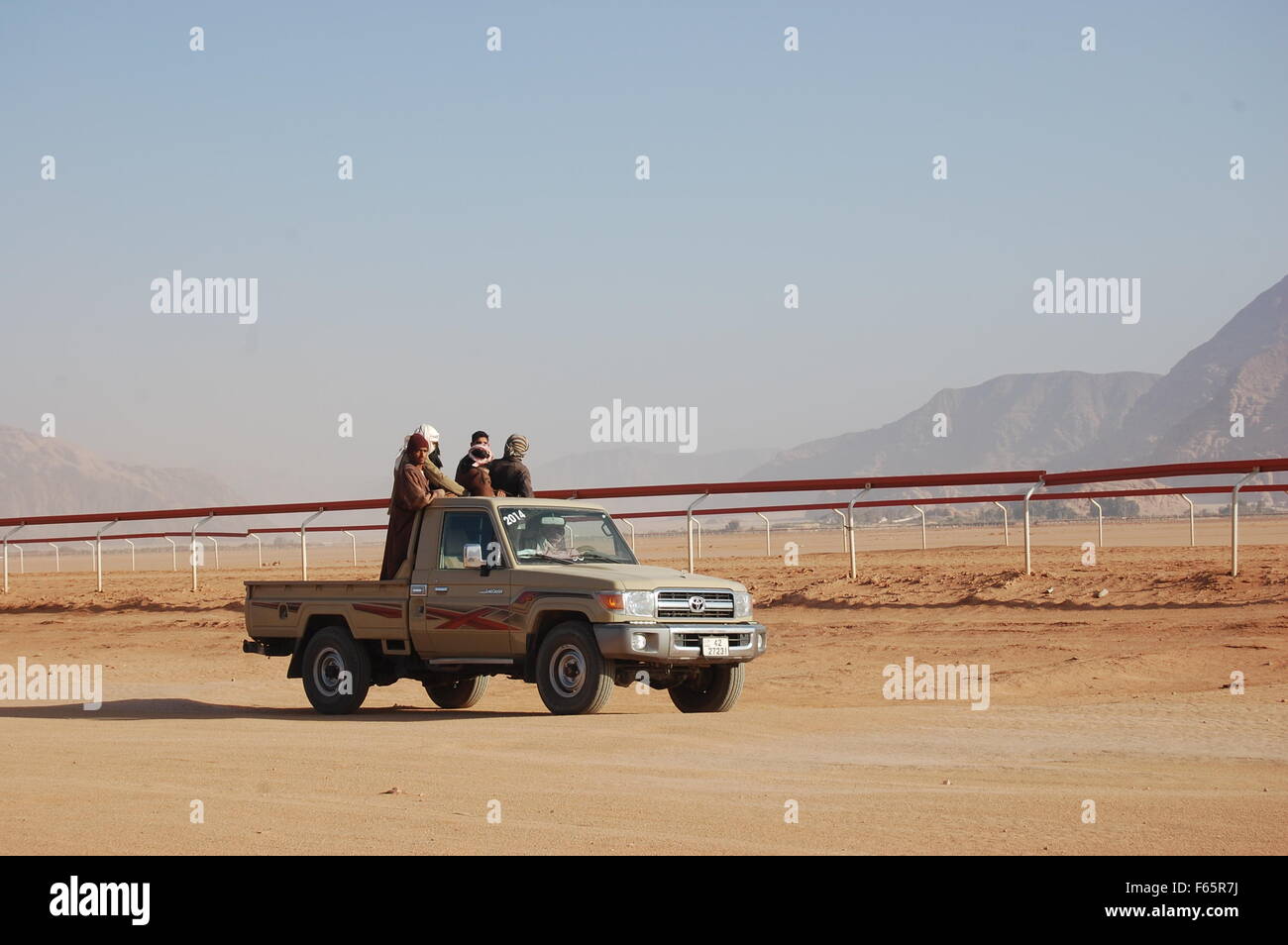 Bedouins at a Camel Race in Wadi Rum, Jordan Stock Photo - Alamy