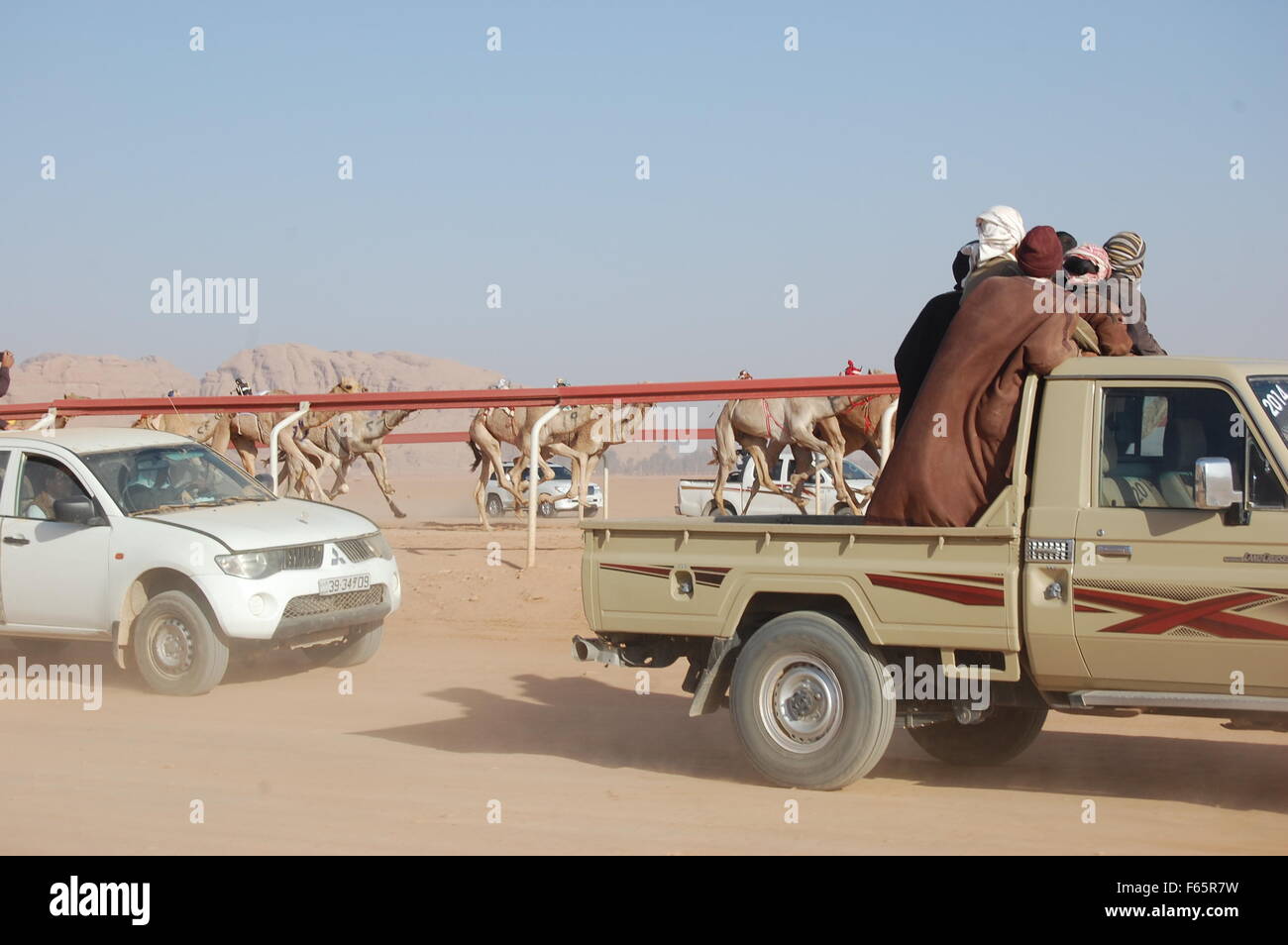 Camel Race in Wadi Rum, Jordan Stock Photo - Alamy