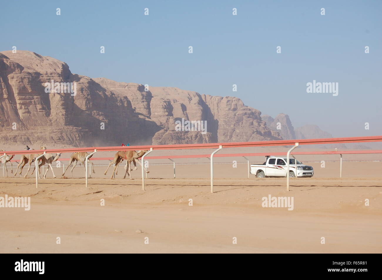 Camel Race in Wadi Rum, Jordan Stock Photo - Alamy