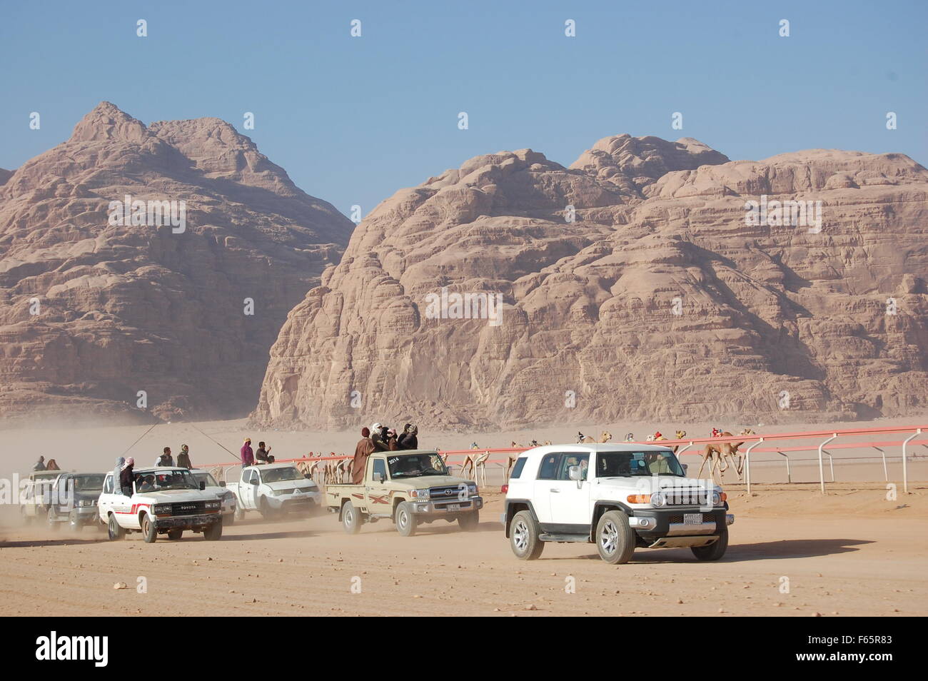 Camel Race in Wadi Rum, Jordan Stock Photo - Alamy