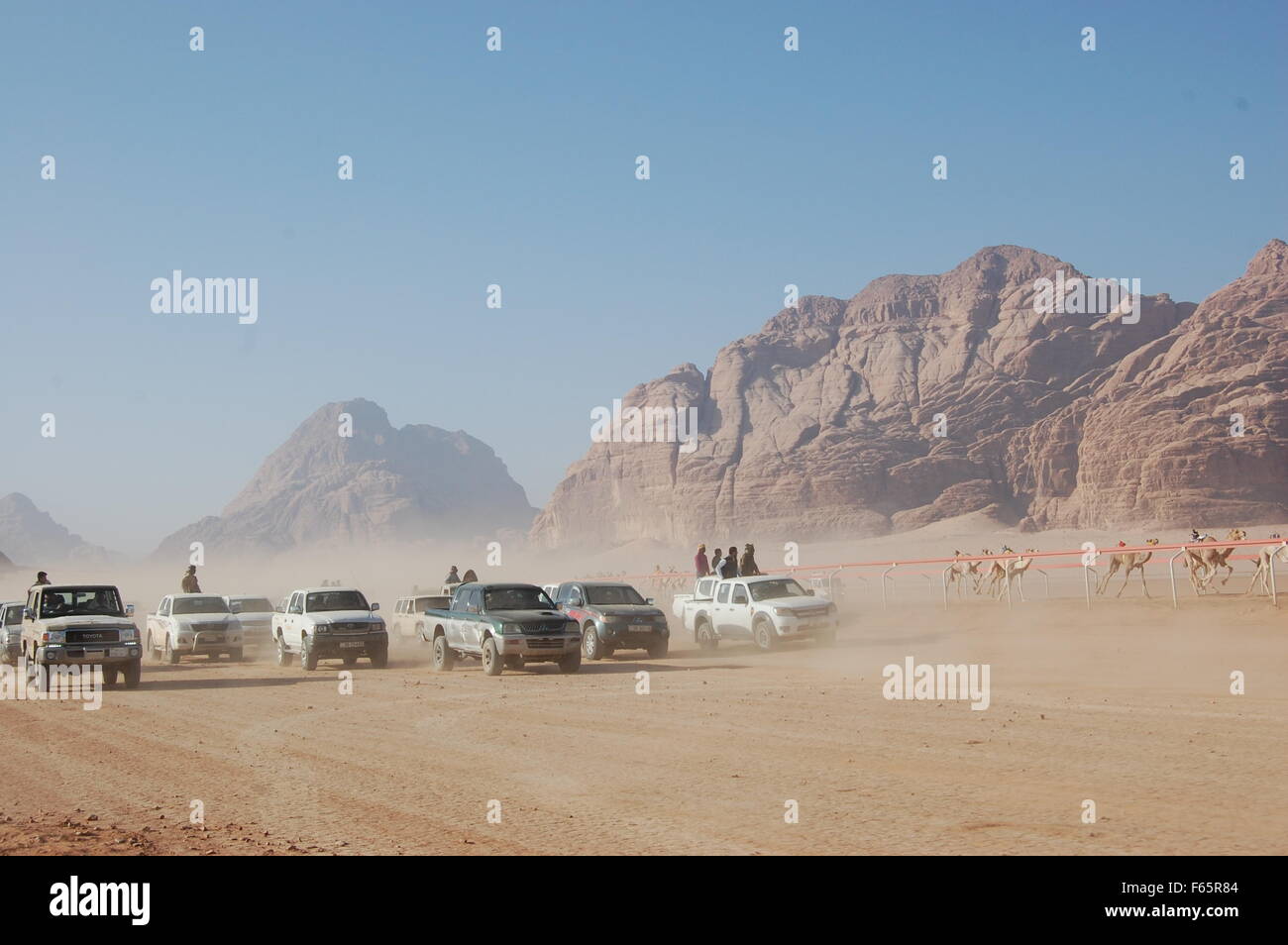 Camel race in Wadi Rum, Jordan Stock Photo - Alamy
