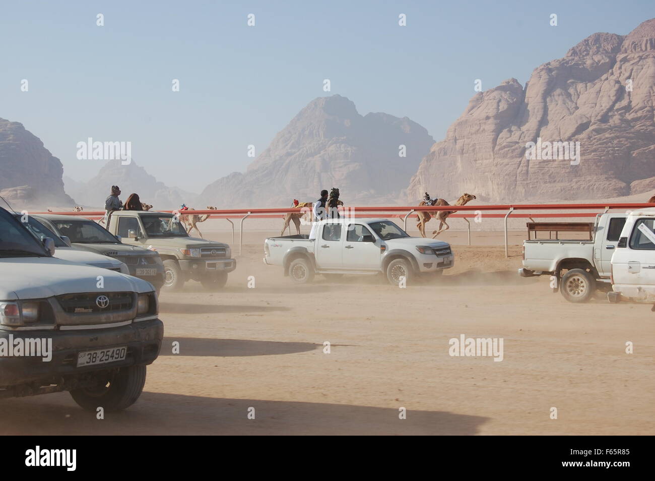 Camel Race in Wadi Rum, Jordan Stock Photo - Alamy