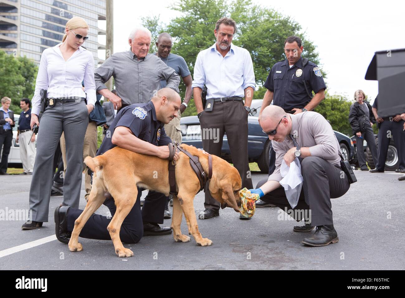 Solace Year : 2015 USA Director : Afonso Poyart Abbie Cornish, Anthony ...