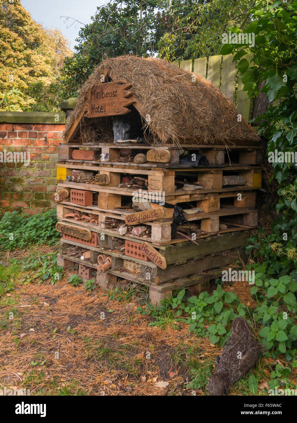 Bug house hi-res stock photography and images - Alamy