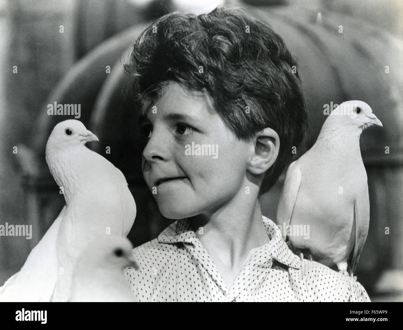 The innocents jack clayton hi-res stock photography and images - Alamy