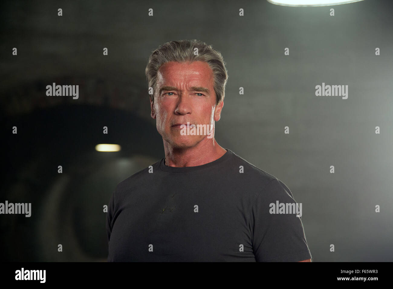 Terminator Genisys Year : 2015 USA Director : Alan Taylor Arnold ...