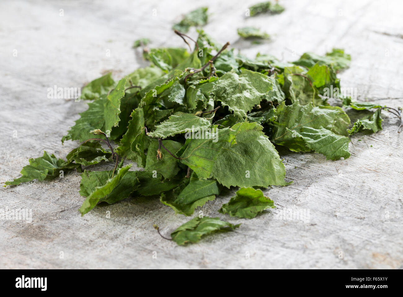 Birch tea hi-res stock photography and images - Alamy