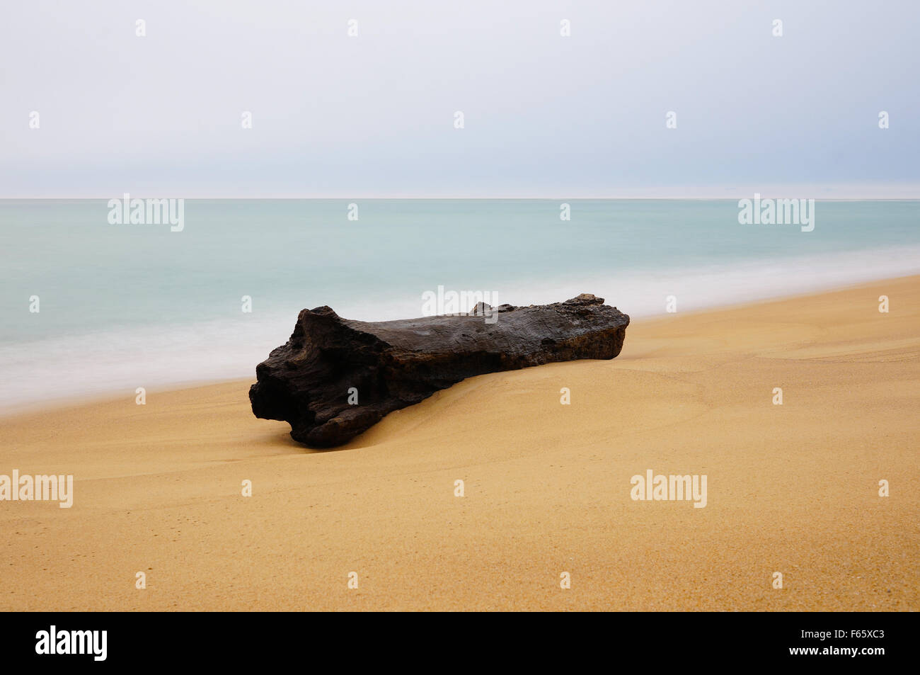 Timber On The Beach Stock Photo - Alamy