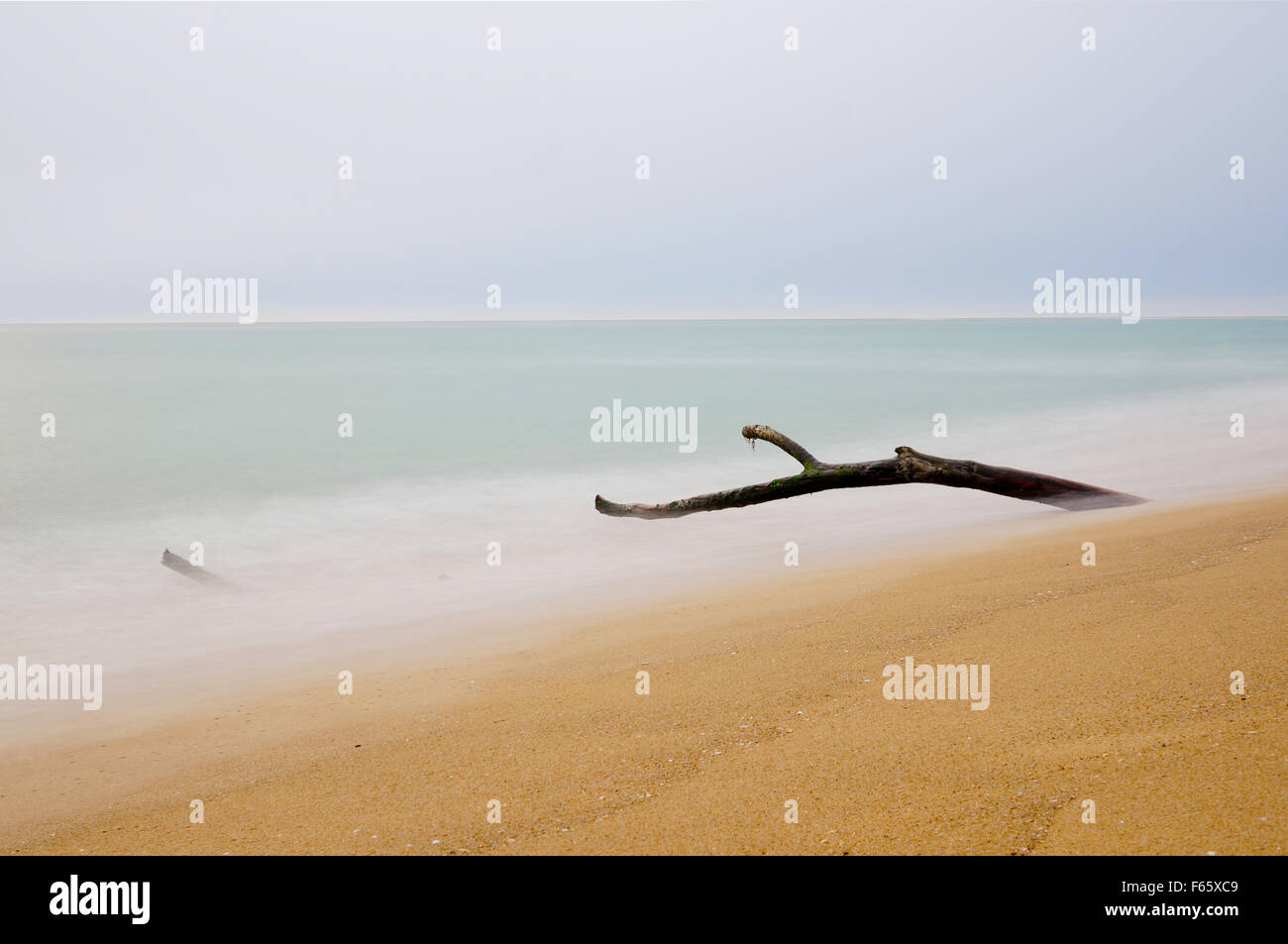 Timber On The Beach Stock Photo - Alamy