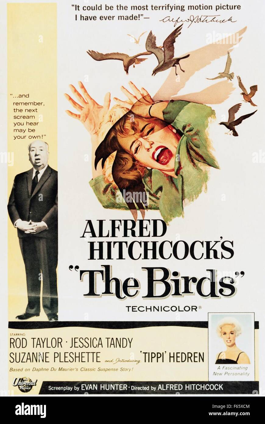 Movie birds usa 1963 director hi-res stock photography and images - Alamy