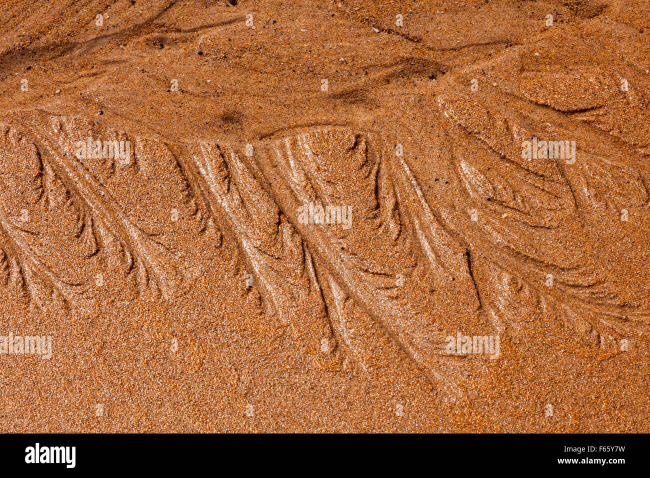Patterns on the sand caused by the falling tide, Blyth Beach ...