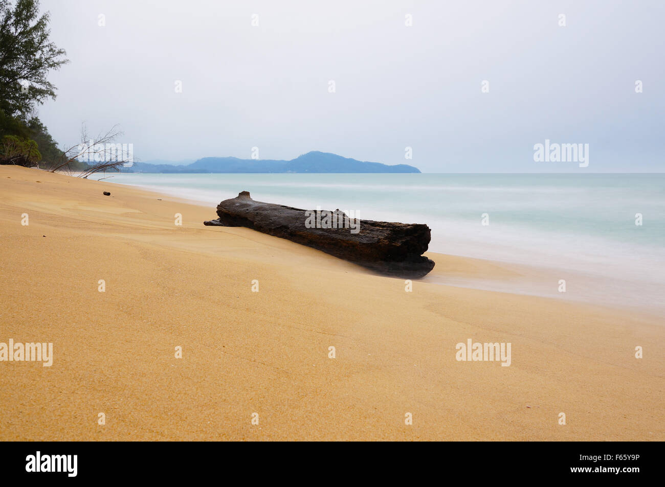 Timber On The Beach Stock Photo - Alamy