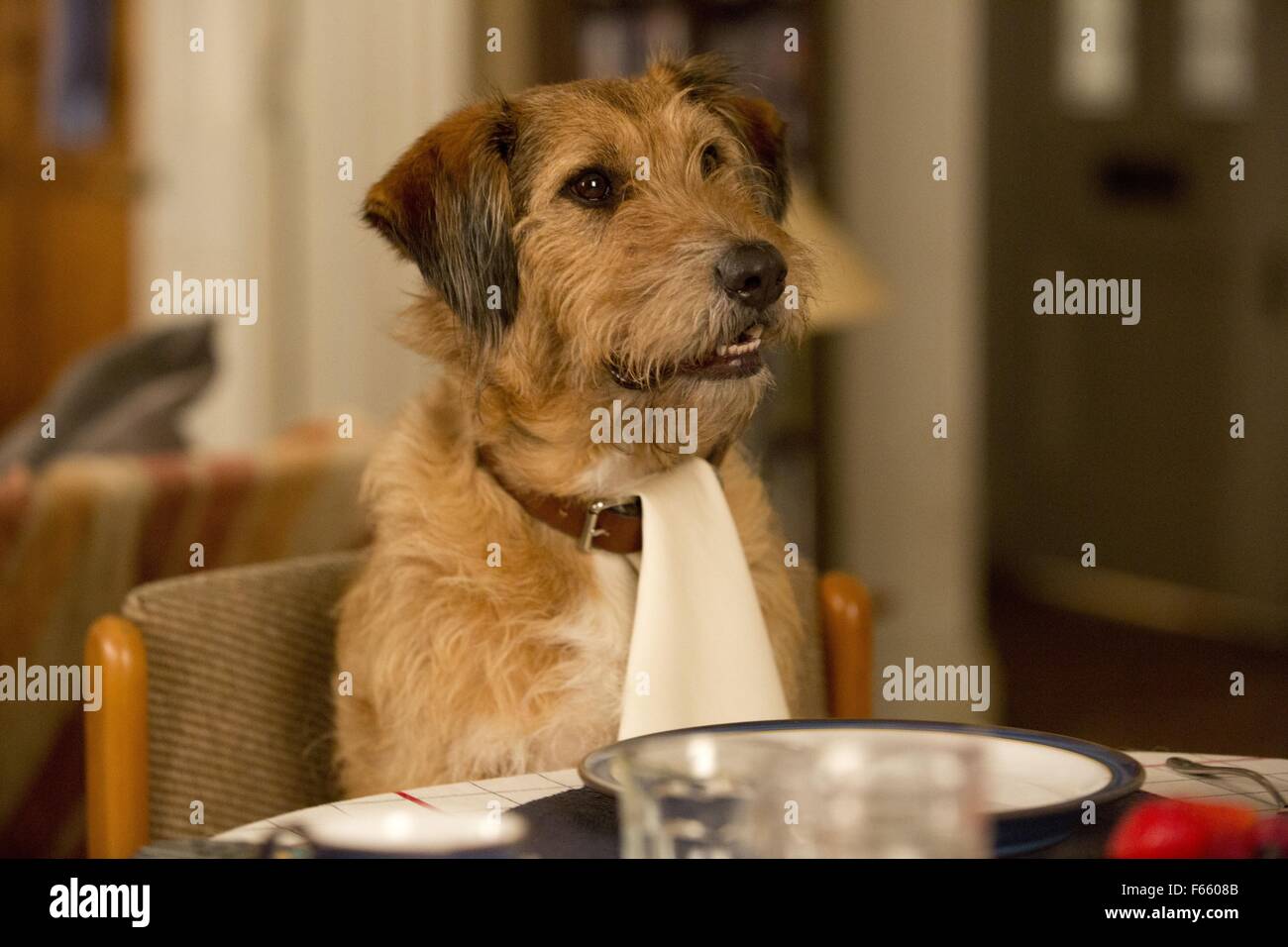 Terry jones absolutely anything hi-res stock photography and images - Alamy