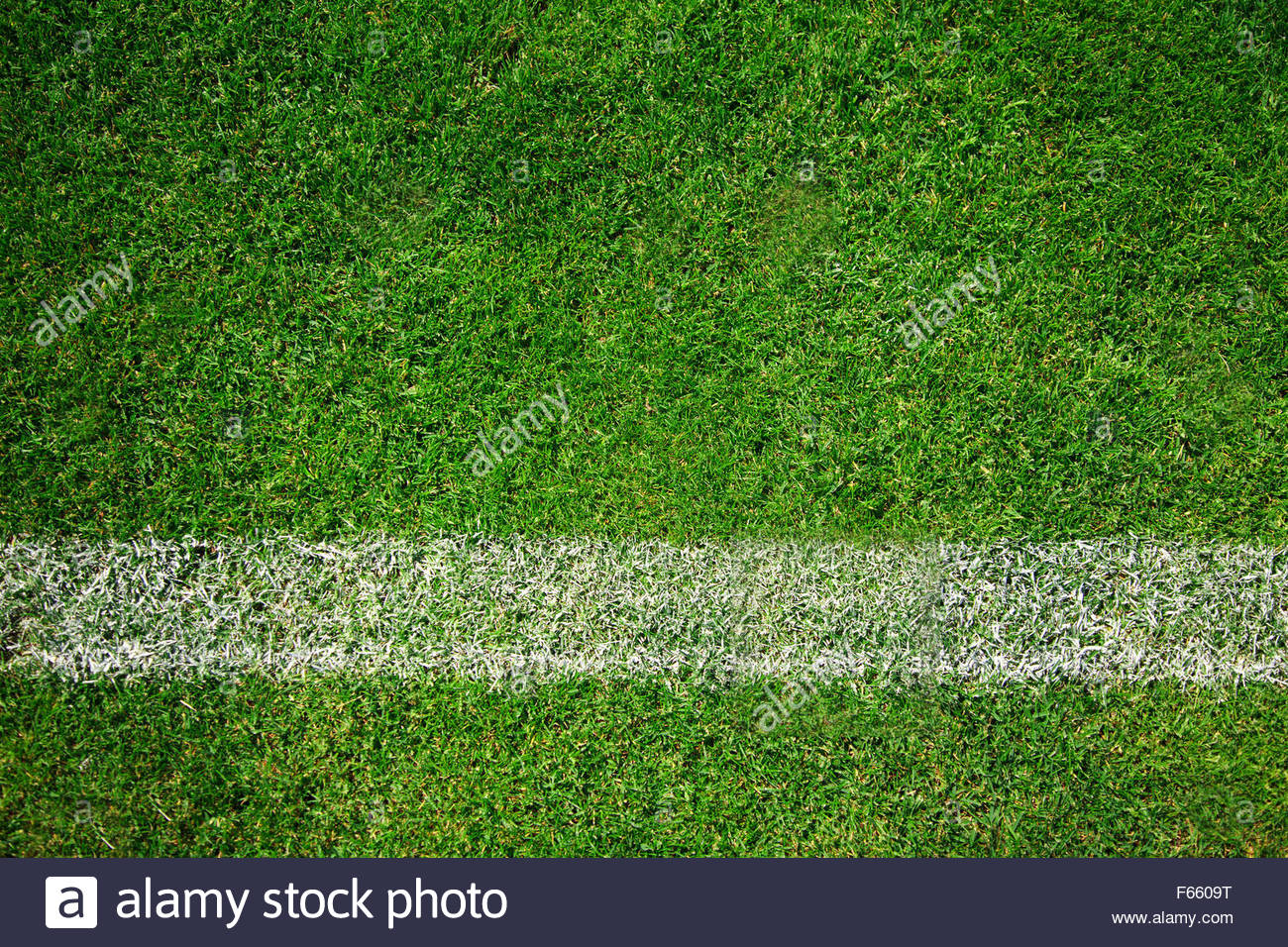 White Turf Stock Photos & White Turf Stock Images - Alamy