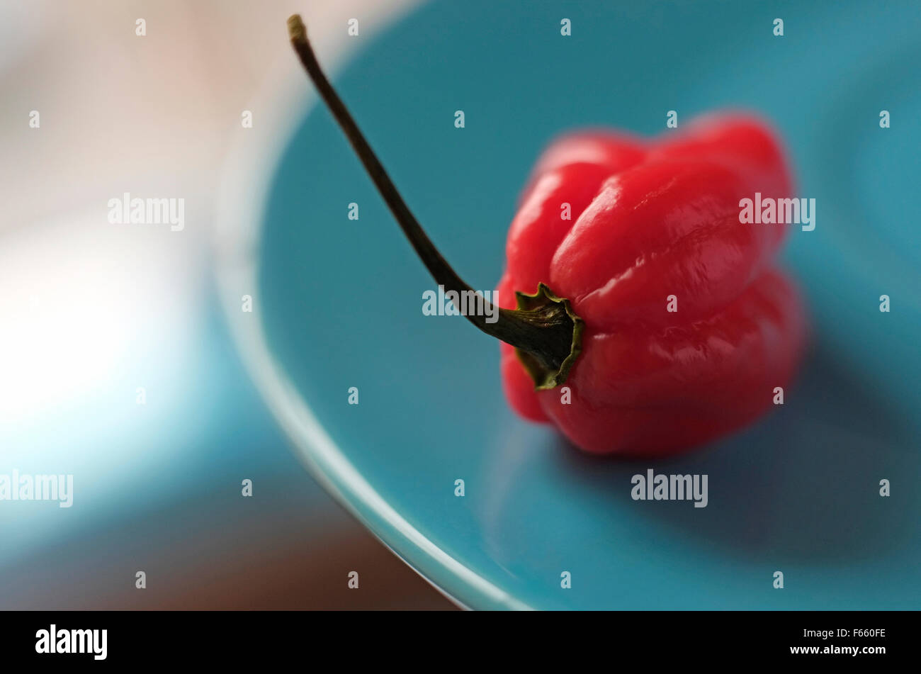 Blue chilli pepper hi-res stock photography and images - Alamy